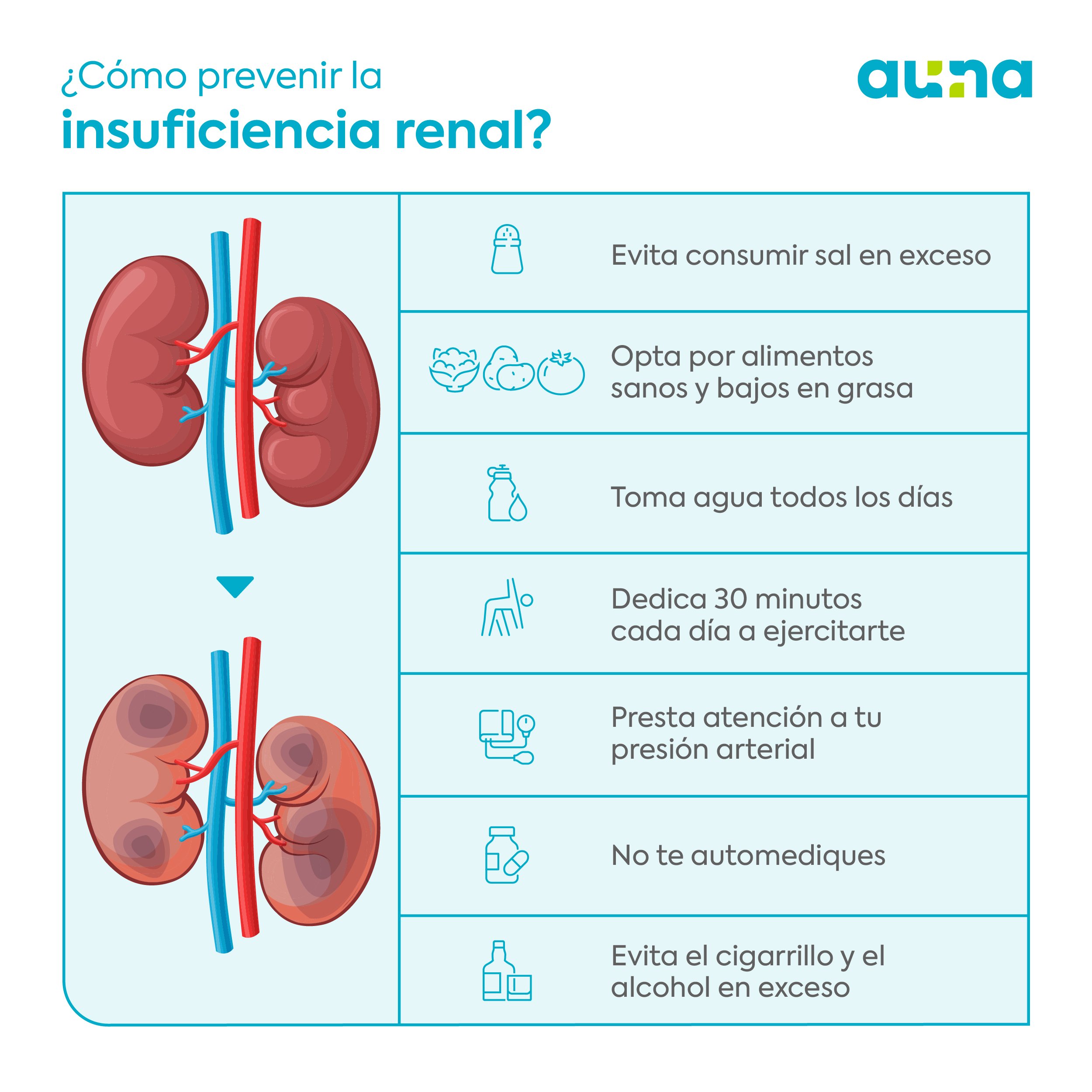 ¿Qué es la insuficiencia renal y cómo prevenirla?